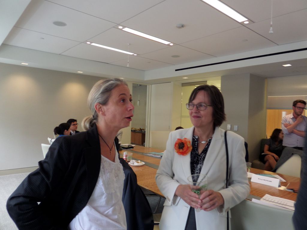 IMF Speech at the launch of the Government Revenue Dataset – ICTD